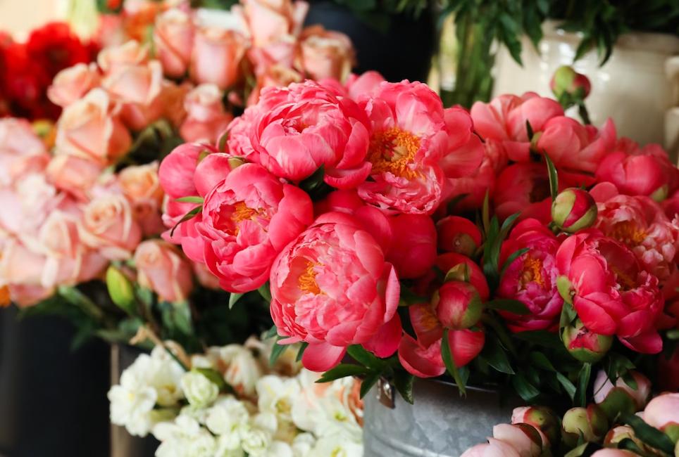 All Flowers – Brave Floral